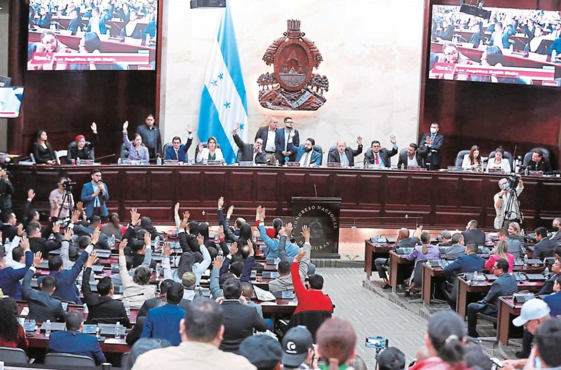 Posiciones arbitrarias y gasto excesivo imperan en el Congreso Nacional ...